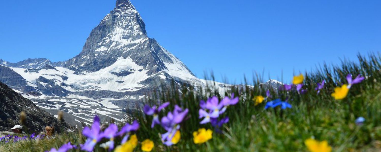 Antares Limousimes, individual tourism & groups – Antares Tourisme